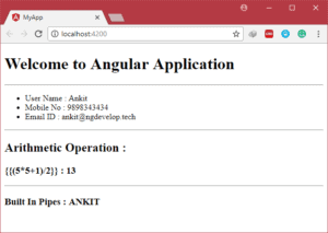 Angular Basics Concepts